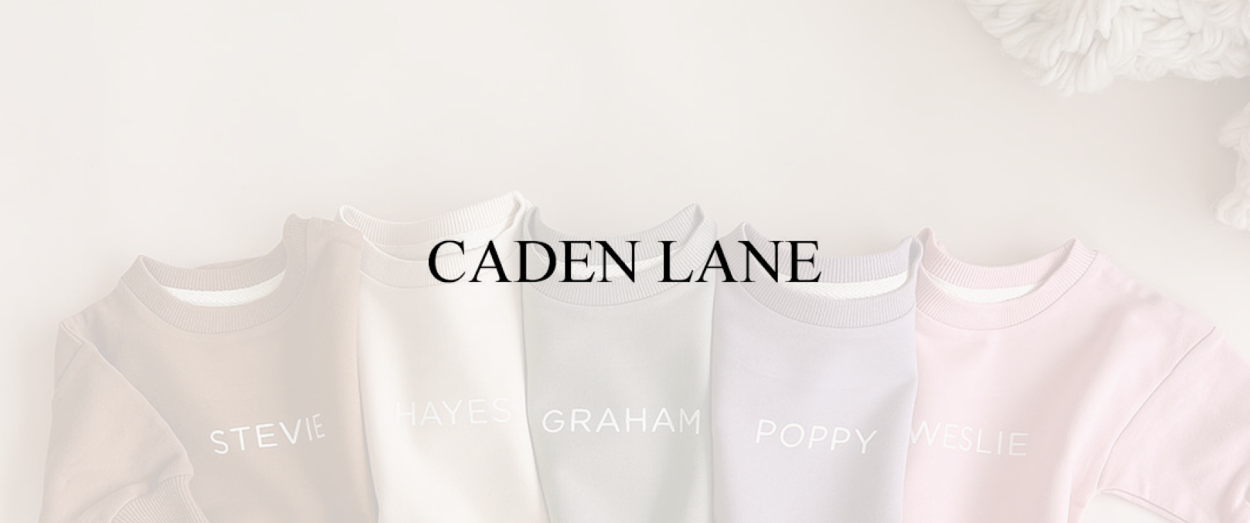 Caden Lane Uses Interactive Email to Collect 1000's of New Data Points for Personalization ...